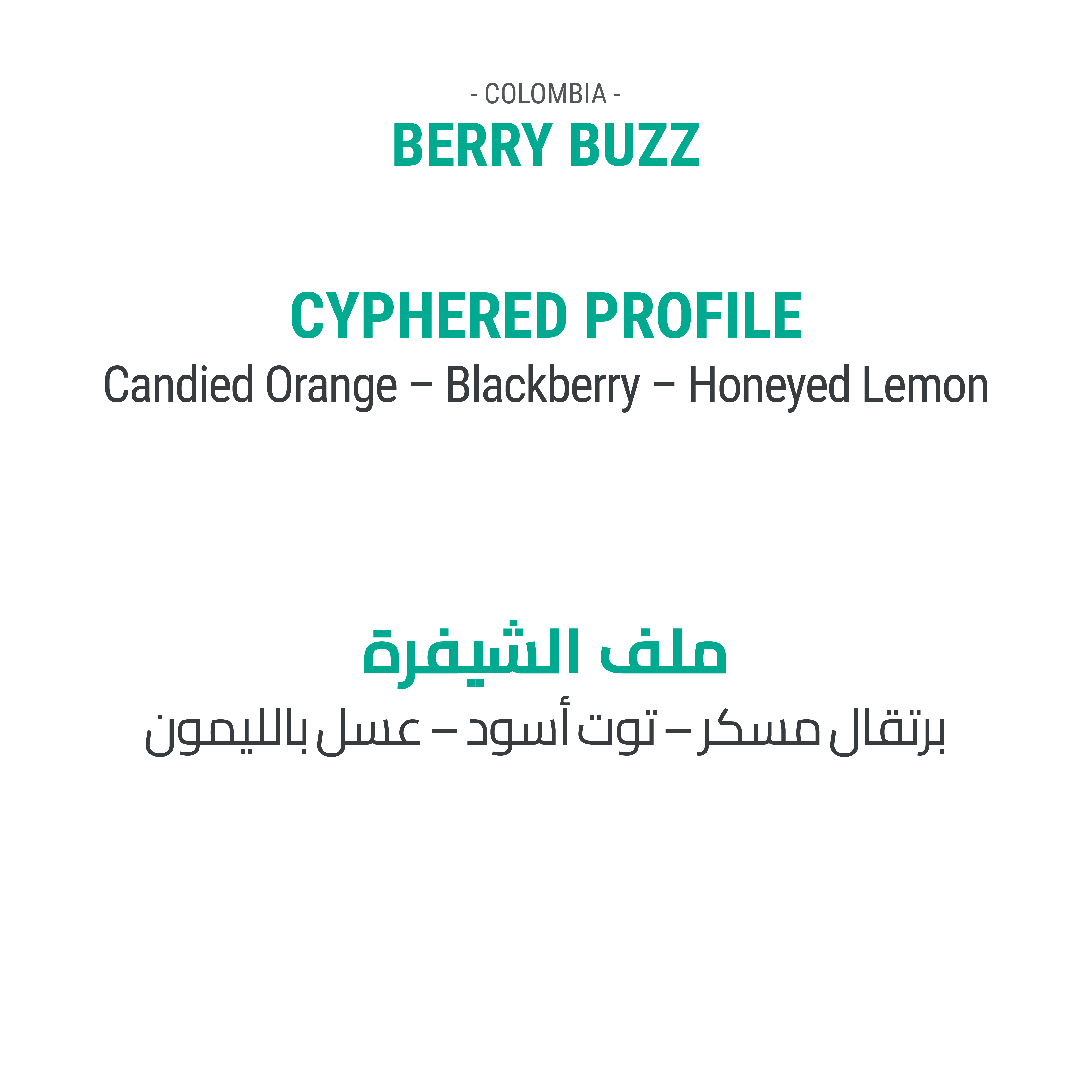 Cypher Urban Roastery | Specialty Coffee Beans