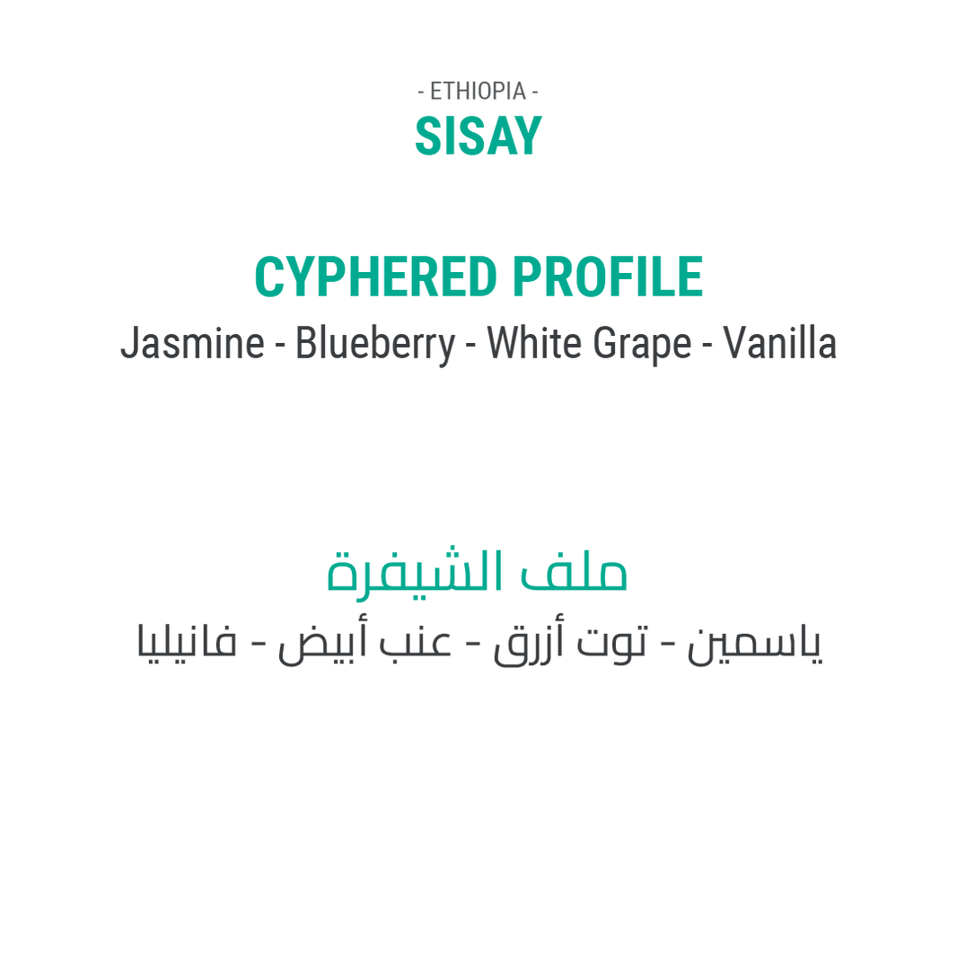 Cypher Urban Roastery | Specialty Coffee Beans